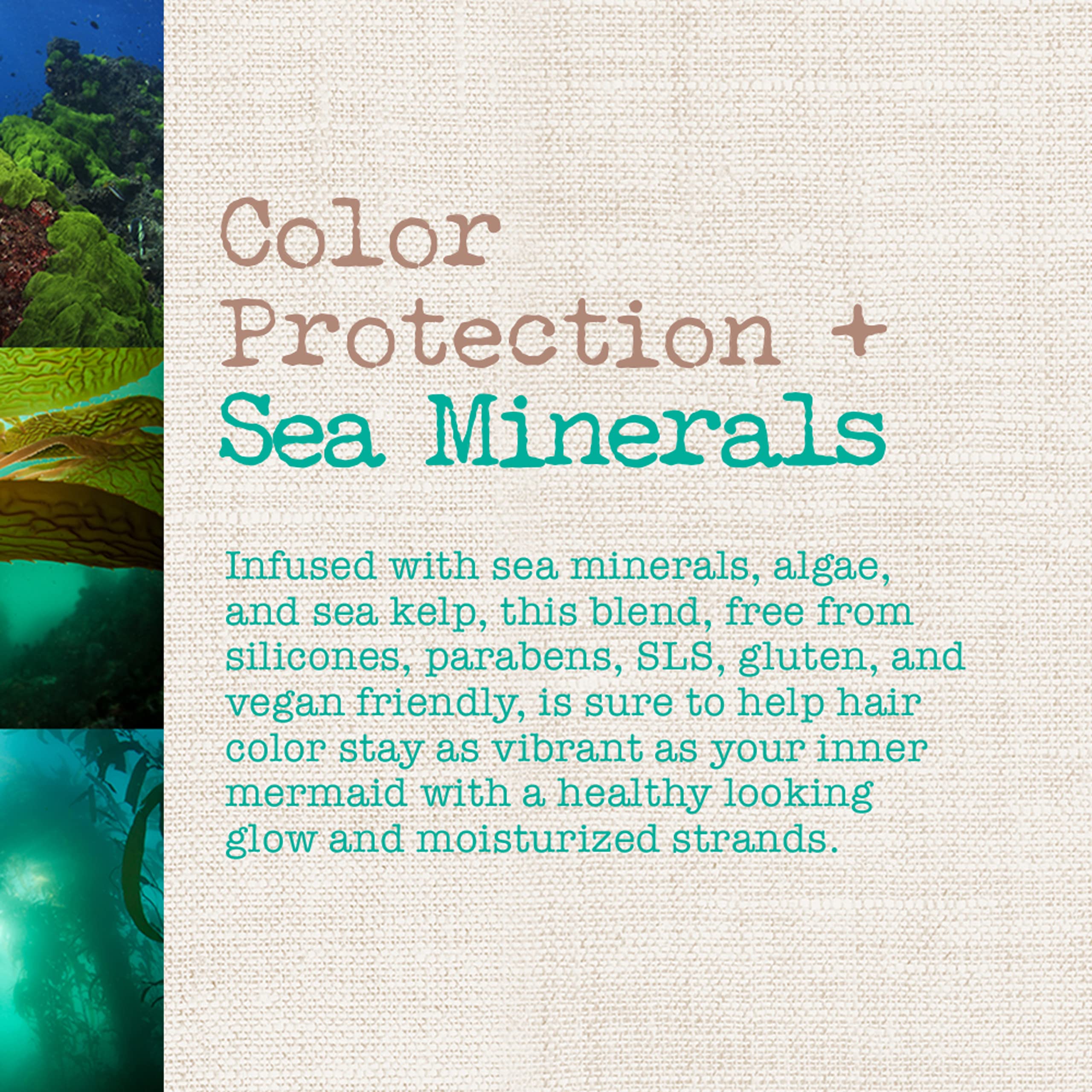 "Maui Moisture Color Protection + Sea Minerals Shampoo, Protect -Treated Tresses with Rich, Pure Algae, and Sea Kelp, Non-GMO, 13 Fl Oz"