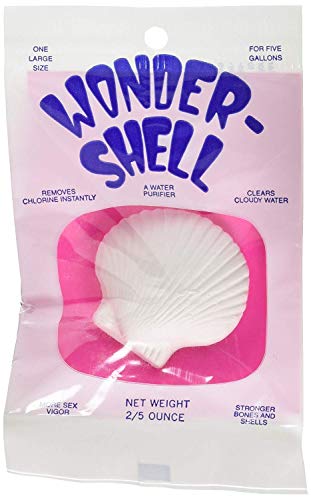 (2 Pack) Weco Wonder Shell Natural Minerals, Large, for a Total of 2 Large Shells
