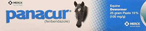 (3 Pack) PANACUR Dewormer Horse Paste 10%, 100mg Each