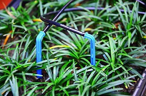 (100-PACK) - 6" Inch .5 GPH - Angled Drip Emitter Stake for Precise Watering & Irrigation, Greenhouse, Container Gardening, Home Garden, and Hydroponics Growing - for 1/8" Tubing (6" Inch Drip Stake)