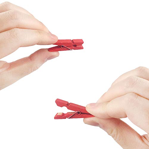 (Pack of 128) Mini Wooden Colored clothespins,16 coloers Each 8pcs