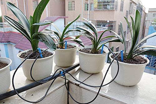 (100-PACK) - 6" Inch .5 GPH - Angled Drip Emitter Stake for Precise Watering & Irrigation, Greenhouse, Container Gardening, Home Garden, and Hydroponics Growing - for 1/8" Tubing (6" Inch Drip Stake)