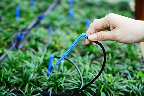 (100-PACK) - 6" Inch .5 GPH - Angled Drip Emitter Stake for Precise Watering & Irrigation, Greenhouse, Container Gardening, Home Garden, and Hydroponics Growing - for 1/8" Tubing (6" Inch Drip Stake)