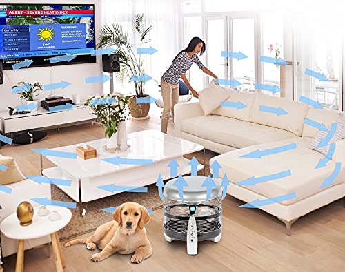 Fcp Power 360 Super Fan Cost Effective, Portable Design - Silver/Black with Remote Control