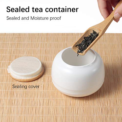 Lyty Chinese Tea Pot Cup Set with Tray Infuser - Travel Ceramic Tea set Porcelain Teapot, Portable All in One Gift Bag for Outdoor Picnic Business Hotel (White)