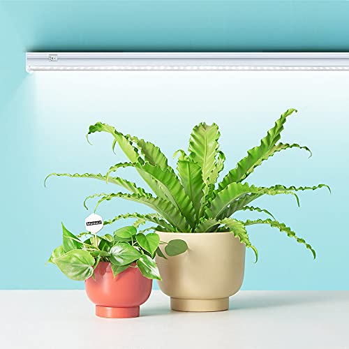 Monios-L LED Grow Light Strips,Full Spectrum Sunlight White, 3FT T5 90W(6X15W,500W Equivalent) for Indoor Plants,Grow Bars with Individual Switch for Herbs/Hydroponics/Succulents,6-Pack