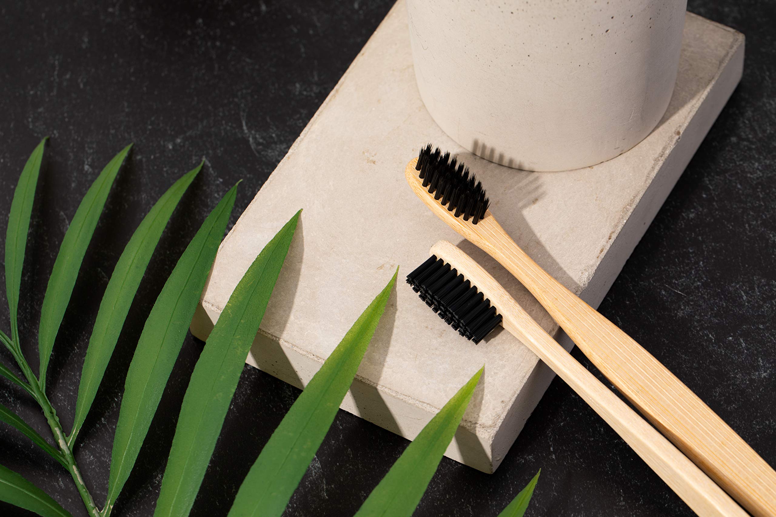 [10 Pack] Biodegradable Bamboo Toothbrushes - Soft Charcoal Infused Bristles for Cleaner Teeth - Sustainable Wooden Toothbrush - Natural Toothbrush That Lasts - Travel Case Included, BPA-Free
