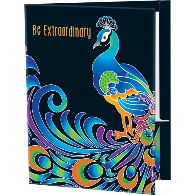 'Really Good Stuff Peacock Folders