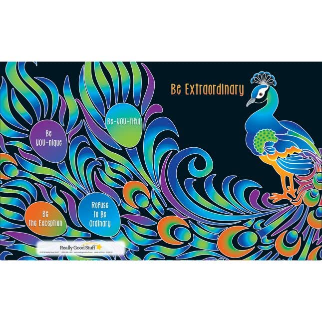'Really Good Stuff Peacock Folders