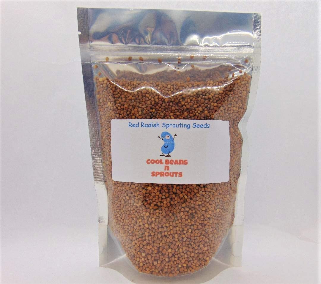 "COOL BEANS n SPROUTS" Brand, Radish Duo Sprouting Mix, 1 Pound / 16 Ounces, This is a Mix of Daikon Radish and Red Radish Seeds.