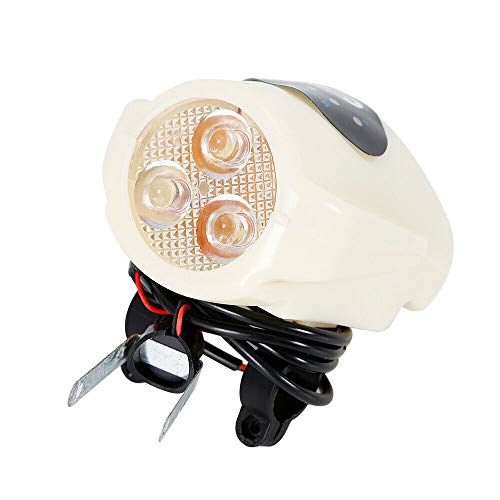 DYRABREST Electric Bike Conversion Kit for 22-29" Common Bike, 250W Motor Controller Electric Bicycle DIY Conversion Kit (36V 250W)