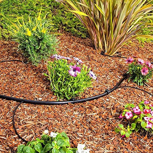 (100' ft Roll) Drip Irrigation Line 1/4" Tubing Roll, 6" Emitter Spacing .52 GPH, Color Black (.170 ID x 240 OD) - Will Work from Gravity Feed (100' Foot Roll)