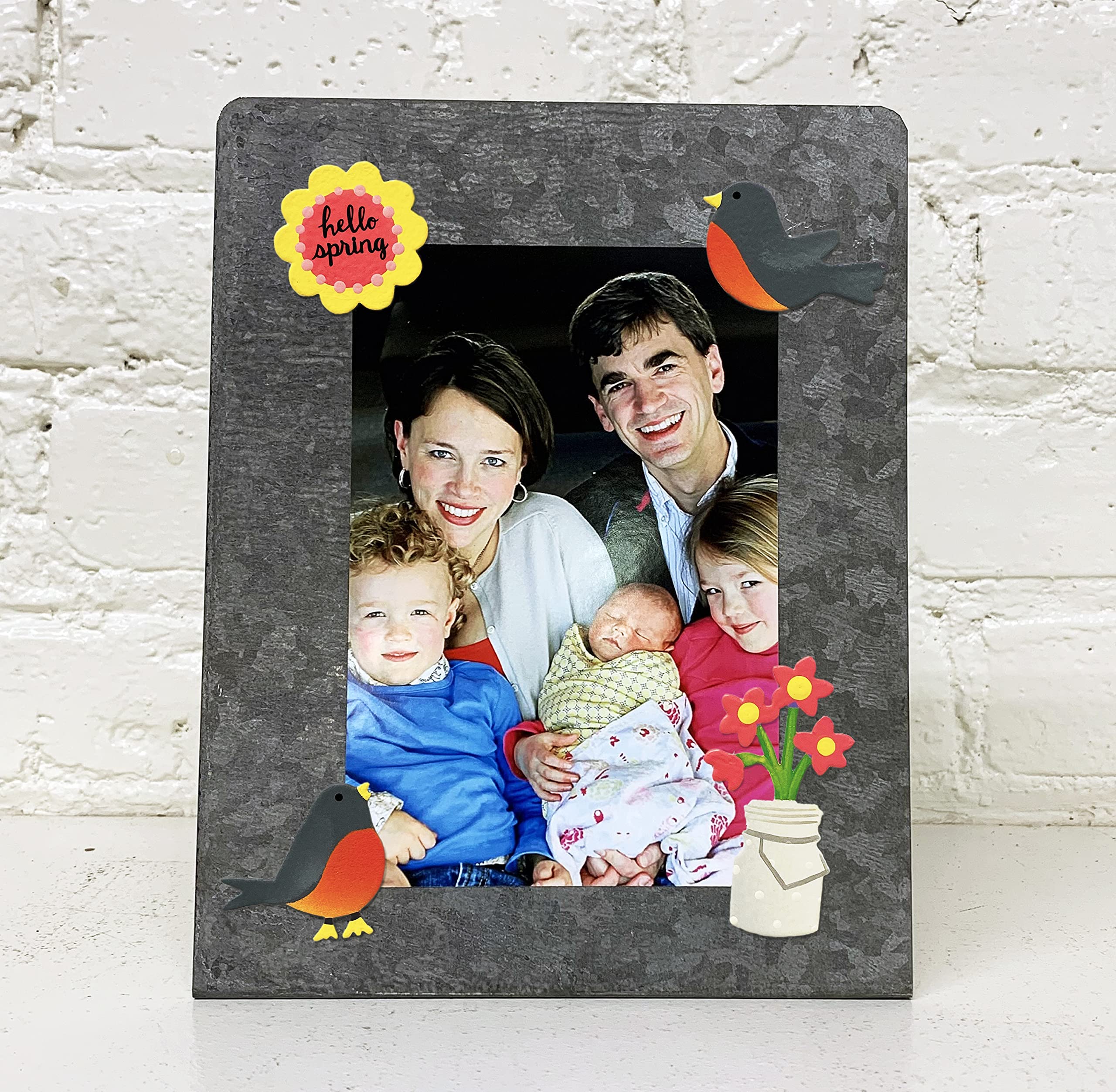 ?Galvanized Metal Photo Board Home and Office Decor Includes Spring Magnet Set, by Roeda Studio