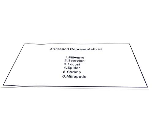(6 Arthropods) Arthropod(Tardigrade) Representatives Paperweight Science Classroom Specimens for Science Education(6.5x3x1 Inch)
