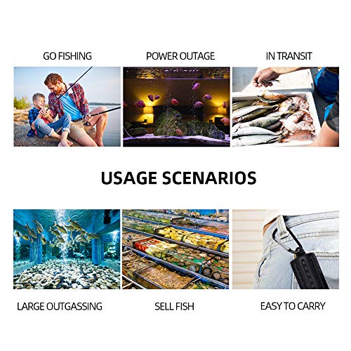 Adeeing Portable Mini USB Aquarium Fish Tank Oxygen Air Pump Mute Energy Saving Supplies Accessories (Black)
