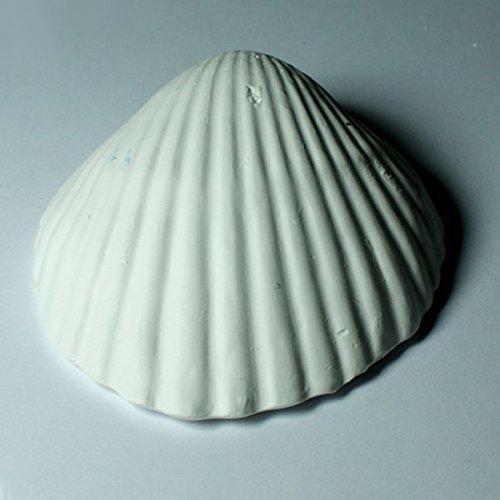 (4 Packages) Weco Wonder Shell Natural Minerals (3 Pack), Small - Total of 12 Shells