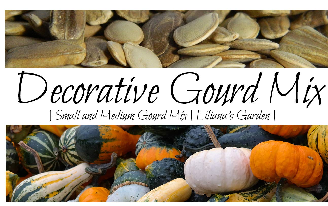 âDecorative Mixâ Small and Medium Gourd Seeds â 7+ Varieties/Packet â Warted, Smooth, Striped, Daisy, and More | Cucurbita Pepo | Never GMO, Always Heirloom | USA Grown Seeds by Liliana's Garden |