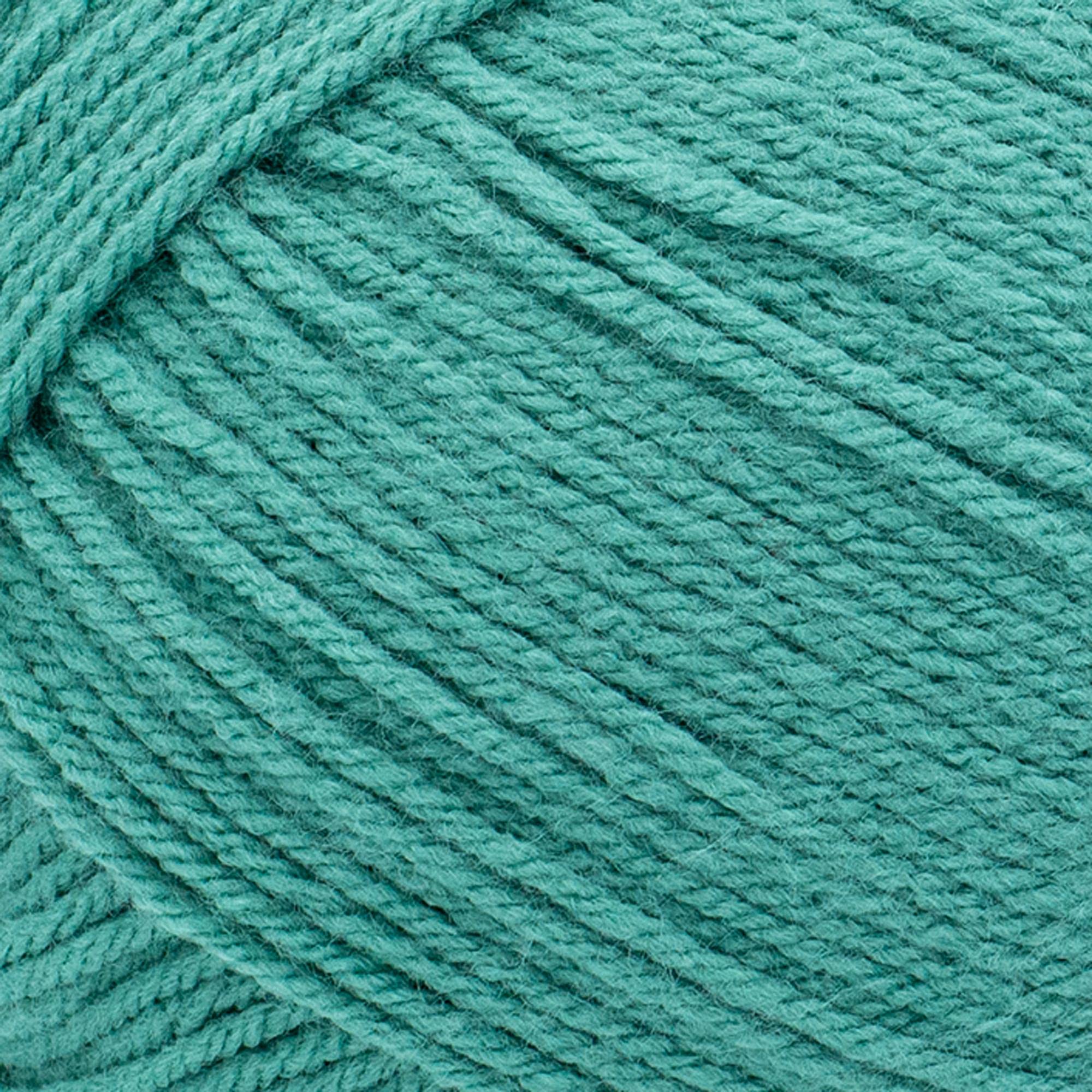 (1 Skein) Lion Brand Yarn 550-173AB Pound of Love Yarn, WaterfallF