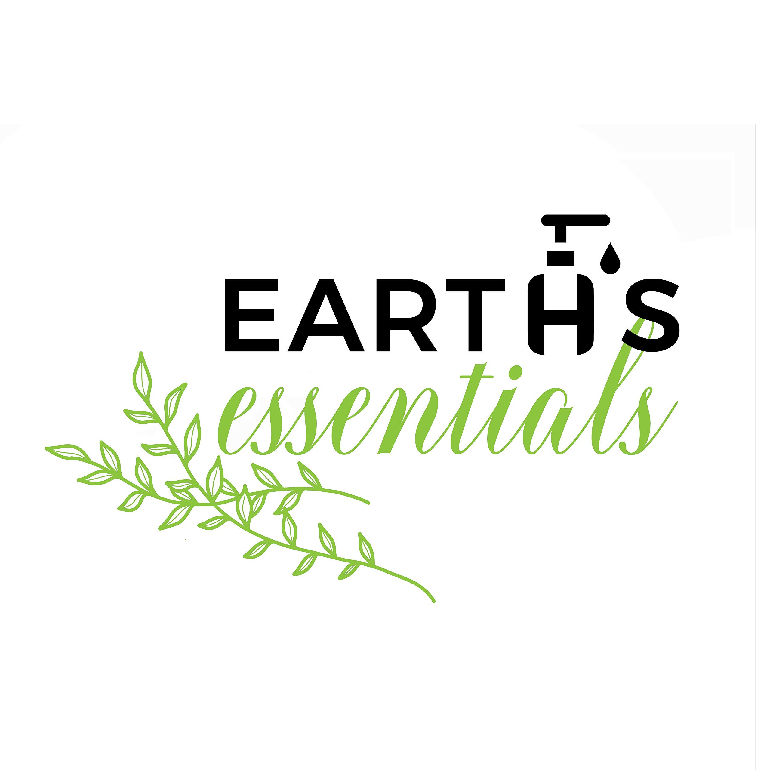 (2 Pack) Earth's Essentials Versatile 16 Ounce Refillable Designer Pump Bottles. Excellent Liquid Hand Soap, Homemade Lotion, Shampoo and Massage Oil Dispensers. Shatterproof PET Plastic.