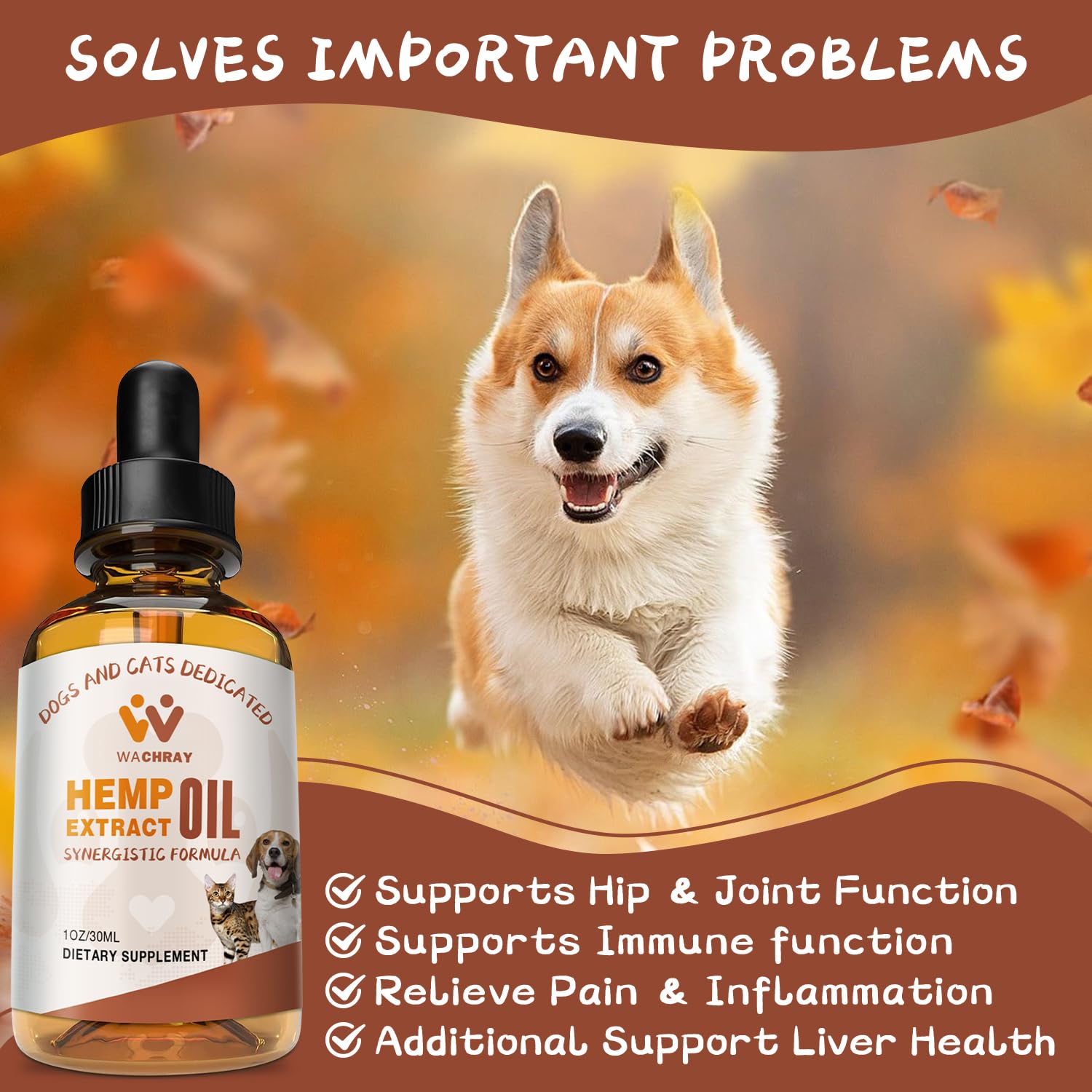 (3-Pack) Hemp Oil for Dogs Cats - Calming Drops Dog Relaxants - Help Pets Anxiety Stress Hip & Joint Pain Arthritis Sеizures Rеlief - Skin Нiр Jоint Hеalth - Organic Pet Hemp Oil Drops