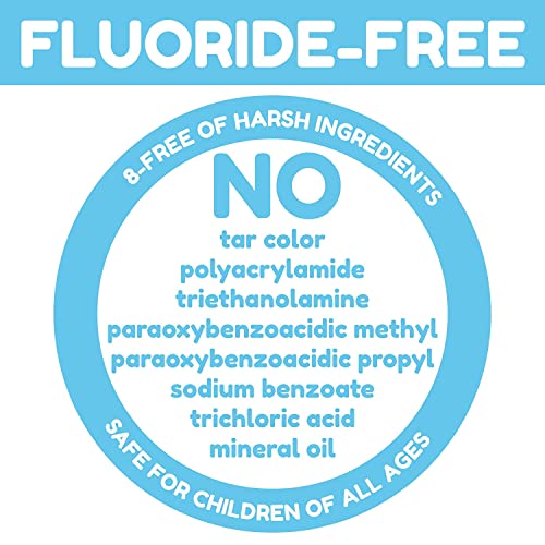 [PERIOE] Fluoride-Free Gel Type Toothpaste - Innovative Pump Design for Smart Brushing and Improved Tartar Care, Spearmint (285 g / 10 oz) Cool Mint Scent x2