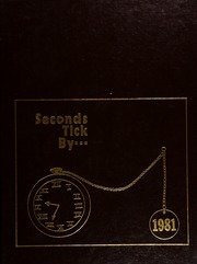 (Custom Reprint) Yearbook: 1981 Hastings High School - Seconds Tick By Yearbook (Hastings, MN)