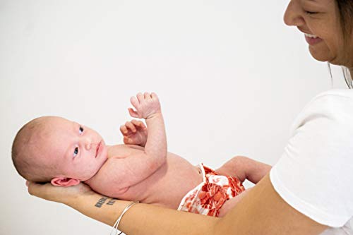 No Prep Cloth Diaper for Newborns β Smart Bottoms Born Smart 2.0 β Natural Fiber Interior (White)