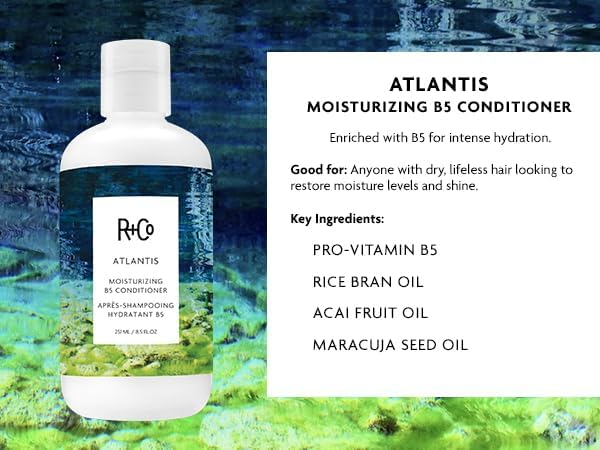 R+Co Atlantis Moisturizing B5 Conditioner | Nourishing + Tames Frizz + Intense Hydration | Vegan + Cruelty-Free | 8.5oz