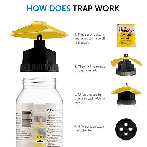 [Set of 3] Reusable Outdoor Fly Traps 32 oz - Fly Magnet Bait Trap - Made in USA - Bundled with 3 Bait Refills and 3 Hanging Chains