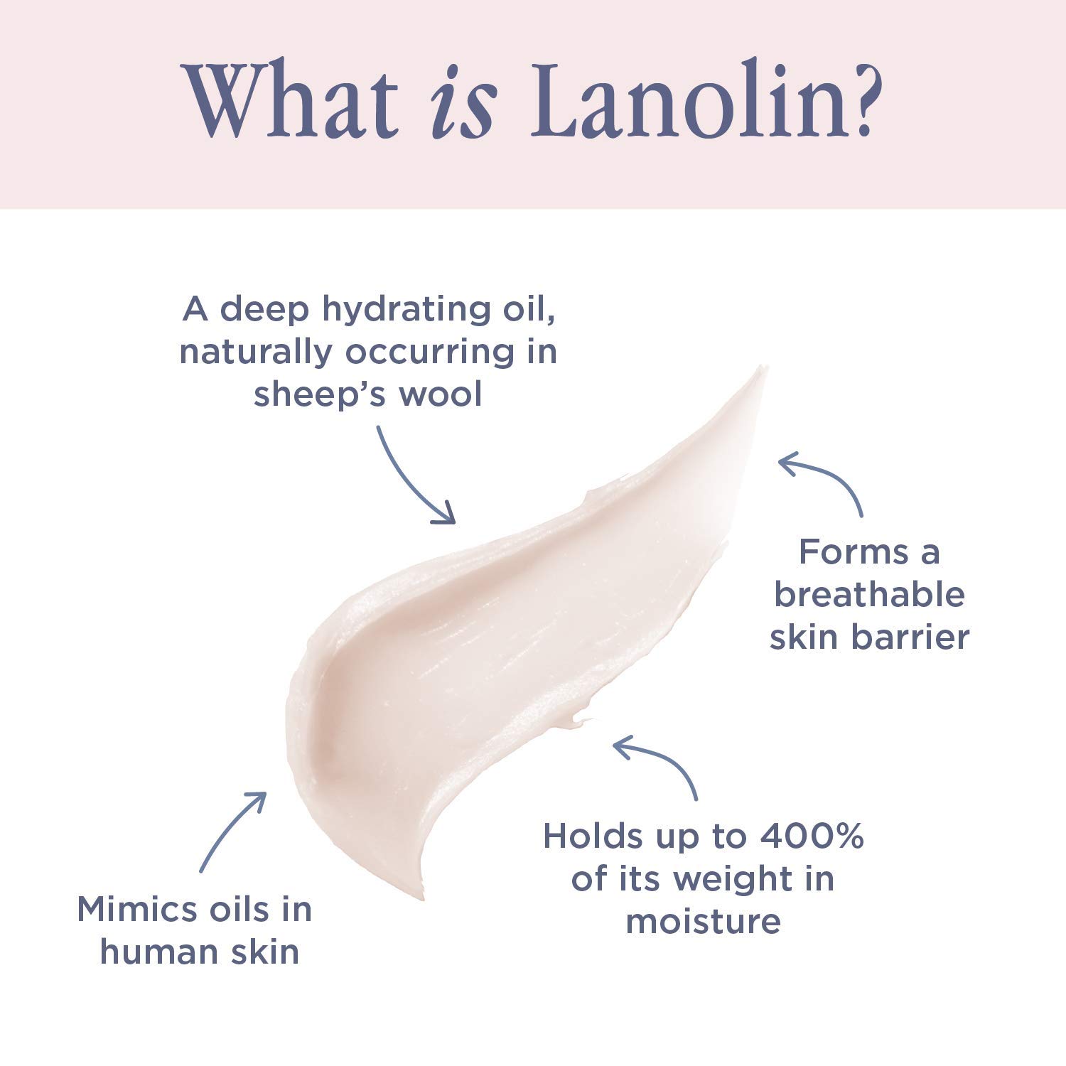 Lanolips Tinted Lip Balm - Enriched with Lanolin Oil for Shine & Hydration - Hydrating Tinted Lip Gloss Tube - Rose (12.5g / 0.44oz)
