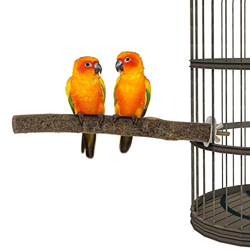 3 Pack Apple Wood Bird Perch for Cage, Natural Wooden Parrot Perch Stand Platform Exercise Climbing Paw Grinding Toy Playground Accessories for Parakeet, Conure, Cockatiel, Budgie, Lovebirds (H01)