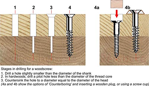 #10 x 3", (25 pcs), Stainless Flat Head Phillips Wood Screw, 18-8 (304) Stainless Steel Screws by Persberg P100-89