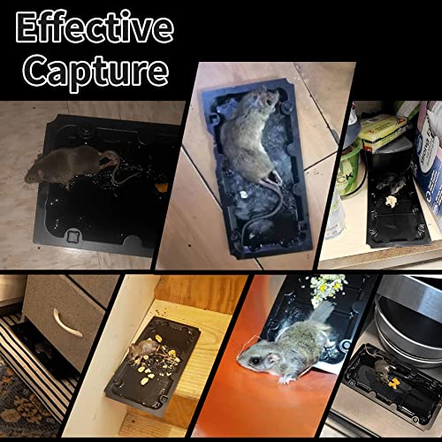 10 Pack Sticky Mouse Trap Rat Traps Indoor, Mouse Traps Indoor for Home, Glue Traps for Mice and Rats, Snake(Large Size)