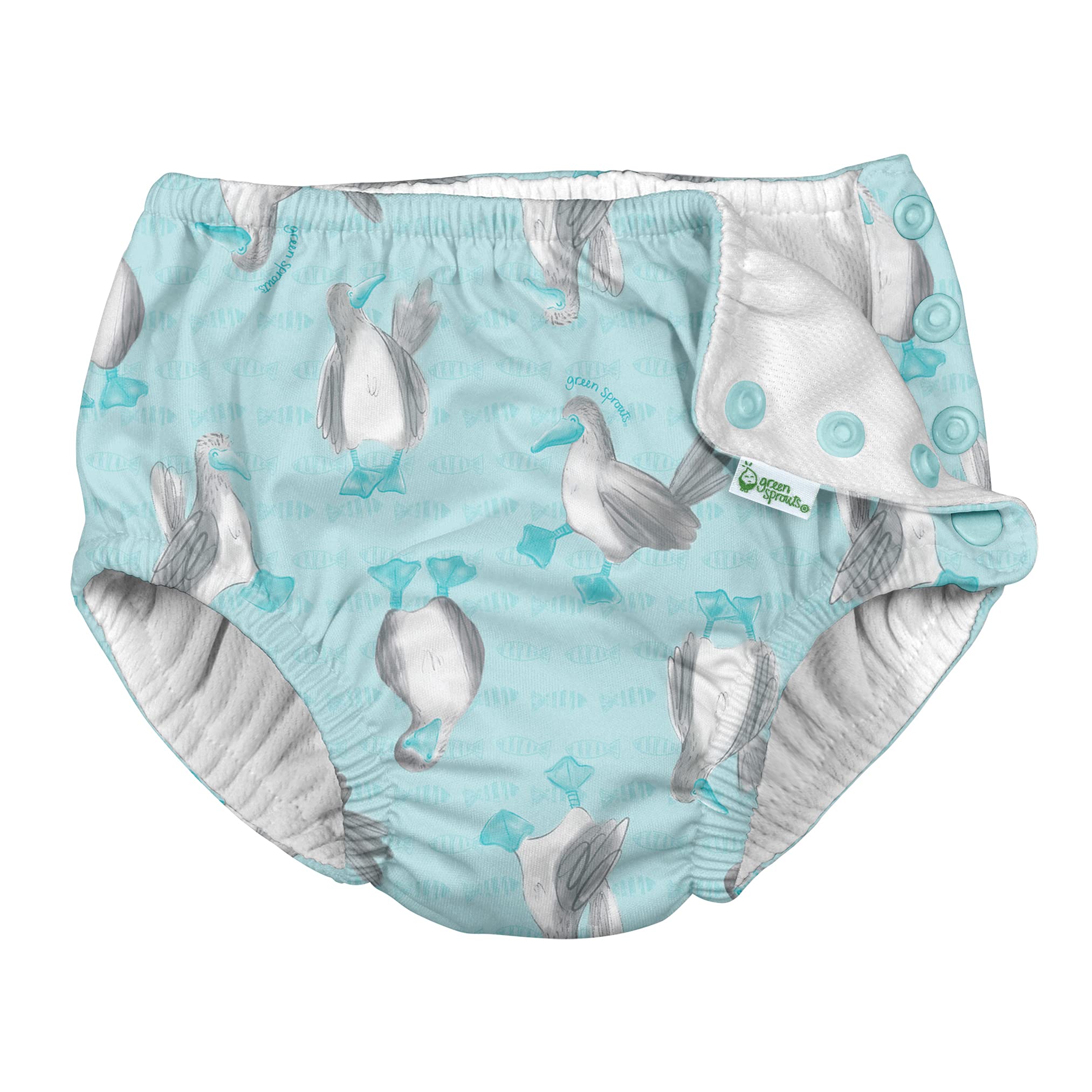 i Play Boys Reusable Absorbent Baby Swim Diapers Light Aqua Blue-Footed Boobies 12 Months