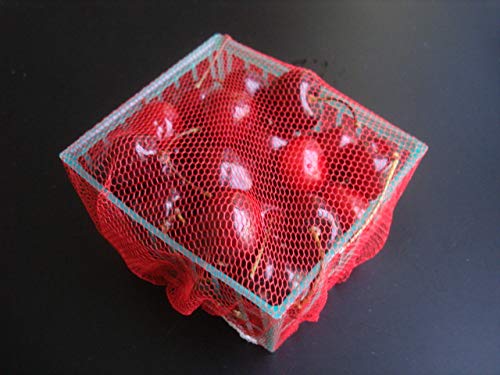 100 pcs mesh Netting for Berry Baskets Farmers Market Produce Supplies Stretchable net fits Quart Pint Half Pint Box (One Size)