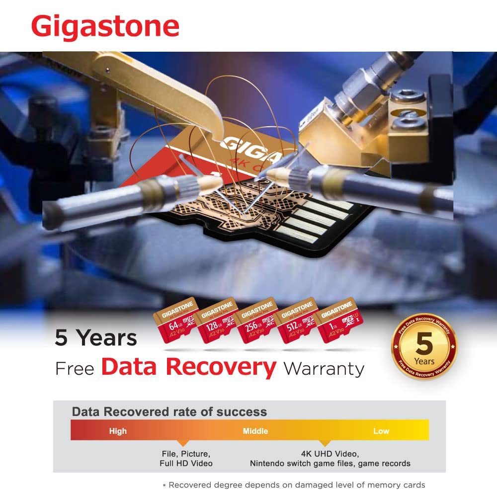 [5-Yrs Free Data Recovery] GIGASTONE 256GB 2-Pack Micro SD Card, 4K Game Pro, A2 V30 MicroSDXC Memory Card for Nintendo-Switch, 4K UHD Video, Up to 100/60 MB/s, UHS-I U3 C10 with Adapter