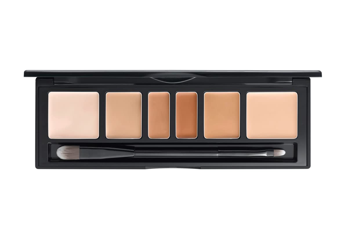 [JUNGSAEMMOOL OFFICIAL] Artist Concealer Palette (Skin) | Makeup Artist Brand | Color Corrector with Brush | Blemish Redness Dark Circles Cover Up