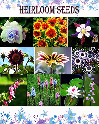 200 Pcs Mixed Marigold Seeds Flower Plant Bonsai Garden Decoration