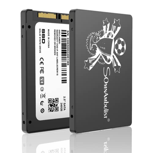 Somnambulist SSD HEIJIANGBEI 120-4.8/6