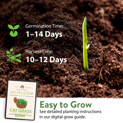 3200+ Cat Grass Seeds - Catnip Seeds, Alfalfa Seeds, Oat Seeds, and Oat & Barley Mix - Grow Cat Grass for Indoor Cats - Cat Grass Seeds Bulk - Refill Cat Growing Grass Kit - Heirloom Herb Seed