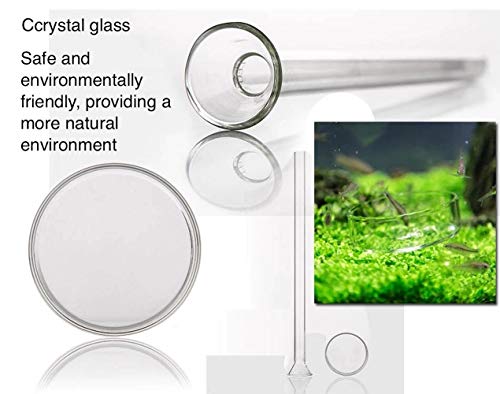Aquarium Shrimp Feeding Tube and Dish, Clear Crystal Glass Fish Tank Shrimp Feeder Tube Tray