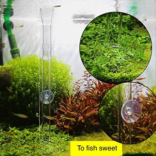 Aquarium Shrimp Feeding Tube and Dish, Clear Crystal Glass Fish Tank Shrimp Feeder Tube Tray