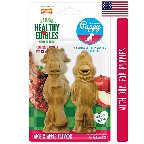 Nylabone Healthy Edibles All-Natural Puppy Chew Treats for Large Breed Puppies Lamb & Apple Medium 2 Count (Pack of 1)