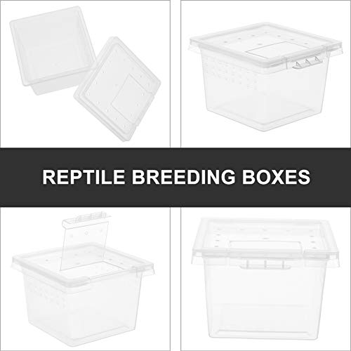 balacoo 100Pcs Reptile Breeding Box Plastic Transparent Feeding Case Hatching Container with Lid for Spider Scorpion Gecko Insect Snake Tortoise