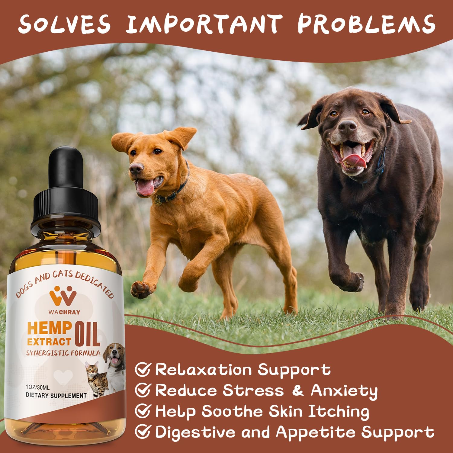 (3-Pack) Hemp Oil for Dogs Cats - Calming Drops Dog Relaxants - Help Pets Anxiety Stress Hip & Joint Pain Arthritis Sеizures Rеlief - Skin Нiр Jоint Hеalth - Organic Pet Hemp Oil Drops