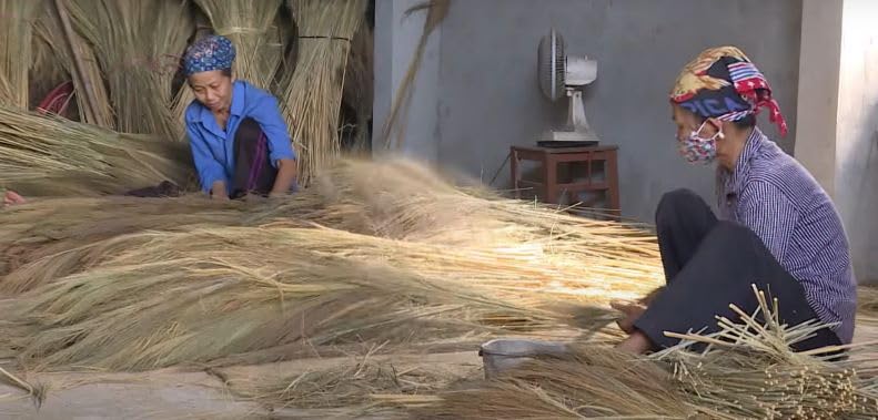 (5 Packs) Gentle Cleaning Power of Asian Broom - Traditional Vietnamese Straw Brooms