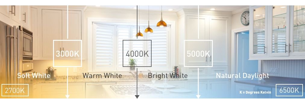 (8-Pack) EcoSmart LED Dimmable 100-Watt Daylight Light Bulb, A19, 1680-Lumen, 5000K, E26 Base