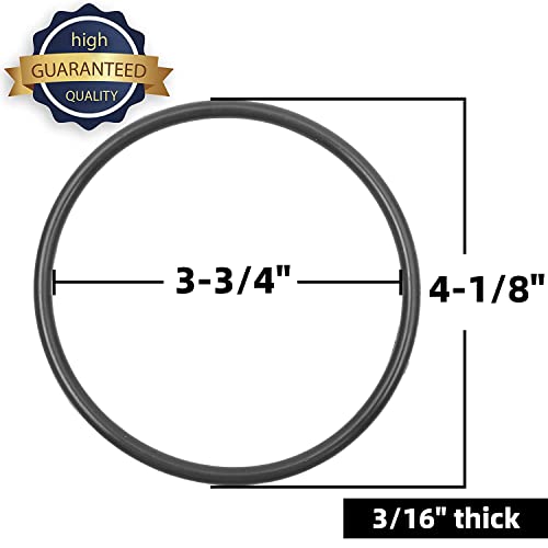 (8 Pack) Exact Replacement Pentair R172009 Lid O-Rings - Compatible with Pentair Rainbow Automatic Chlorine Feeder Models 300 and 320 - Chlorine Resistant Viton O-Rings Last 4X Longer