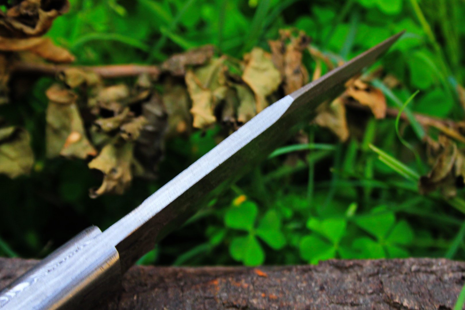 (7 9/18) DKC-516 Hunter Damascus Bowie Hunting Handmade Knife Fixed Blade 7.9 oz 9"
