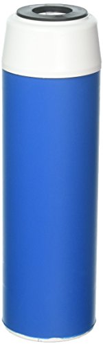 (Package Of 4) Pentek GAC-10 Drinking Water Filters (9.75" x 2.875")